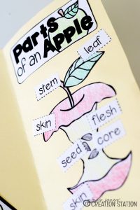 Apple Science Lapbook - Mrs. Jones Creation Station