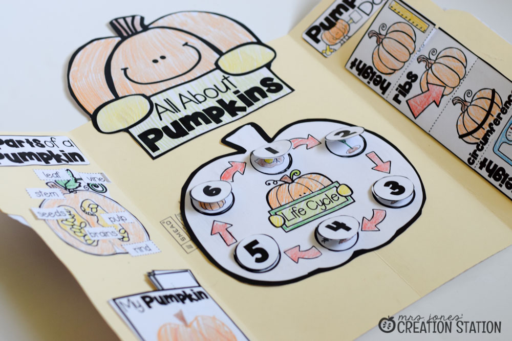 INTERACTIVE NOTEBOOKS OR INTERACTIVE LAPBOOKS? - Mrs. Jones Creation ...