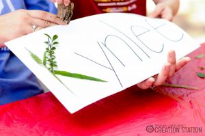 NATURE NAME ACTIVITY - Mrs. Jones Creation Station