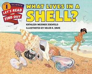 20 BEACH BOOKS FOR LITTLE LEARNERS - Mrs. Jones Creation Station