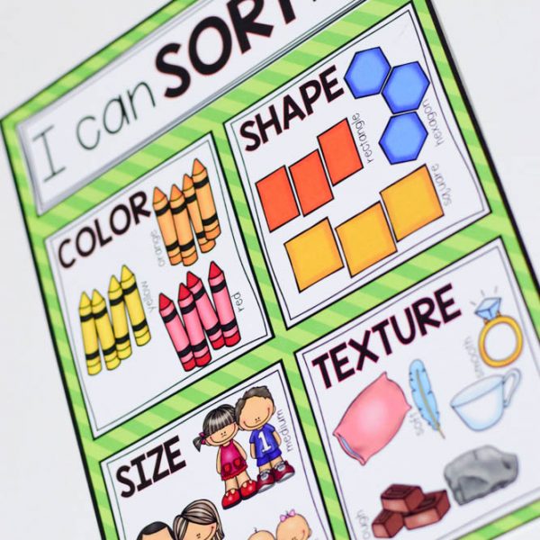 Sorting Activities for Little Learners - Mrs. Jones Creation Station