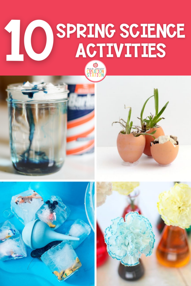 Spring Science Activities Your Little Ones Must Do Mrs Jones Spring Science Activities Your Little Ones Must Do Mrs Jones
