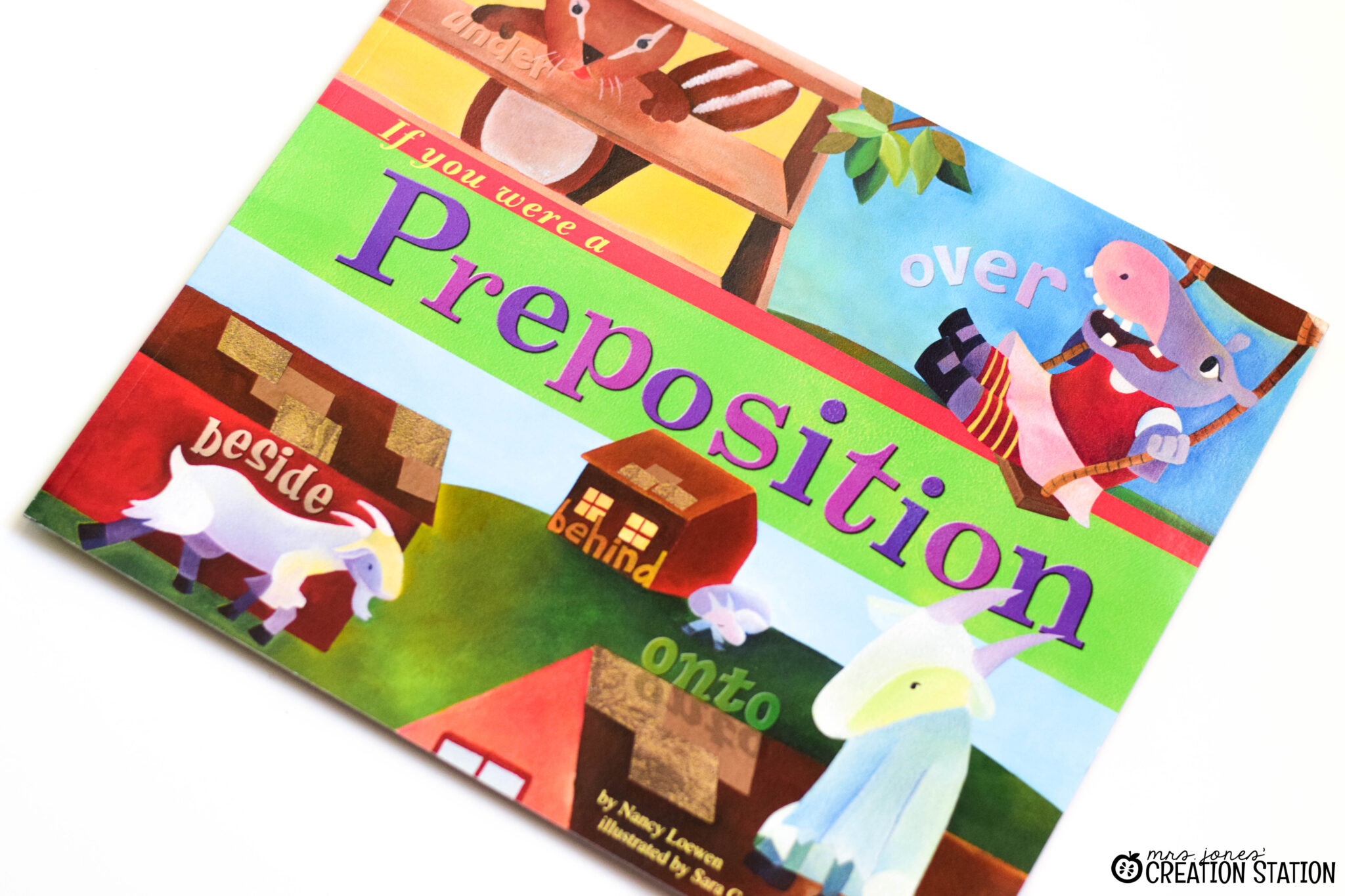 PICTURE BOOKS FOR WRITING CONVENTIONS - Mrs. Jones Creation Station