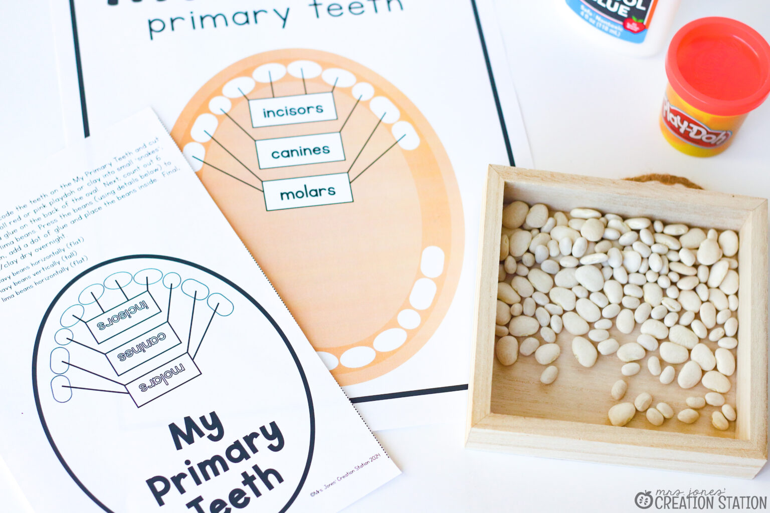 TEETH HAVE JOBS - Mrs. Jones Creation Station